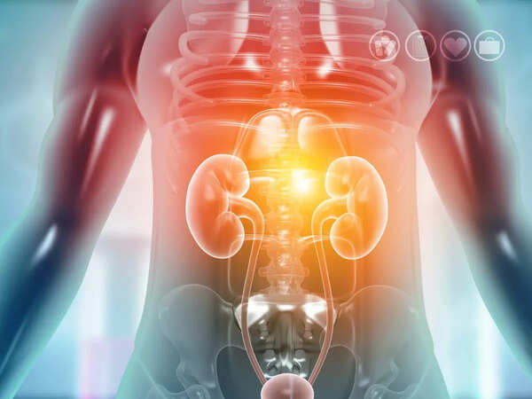 Understanding Kidney Cancer