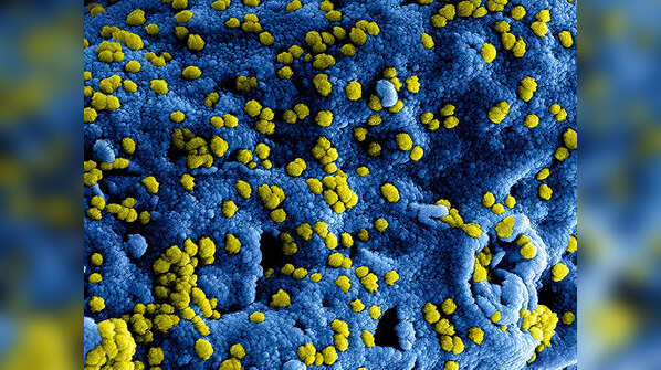 Oldest viruses in the world