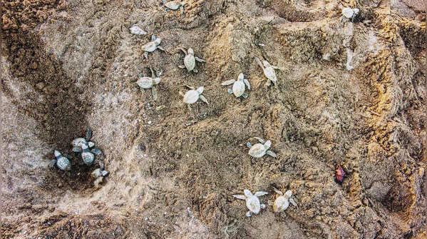 Karnataka–Goa border beaches: 5 unique beaches beyond the usual Goa buzz