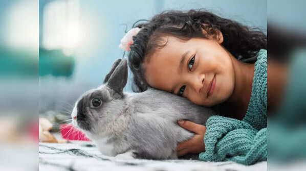 Kid Friendly Pet: 10 cute kids friendly pets to have