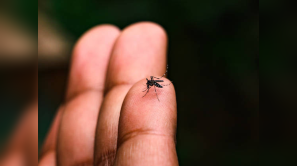 Zika virus infection in Kerala: Here's how to stay safe