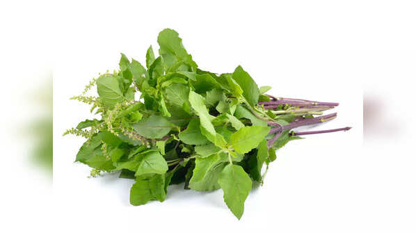 Clove & Tulsi Benefits: 9 reasons to have clove and tulsi on an empty ...