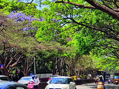 Go green policy