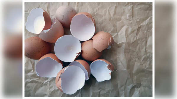 Why some nutritionists recommend eating eggshells