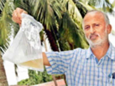 As Kerala thrives on Neera, Karnataka yet to wake up