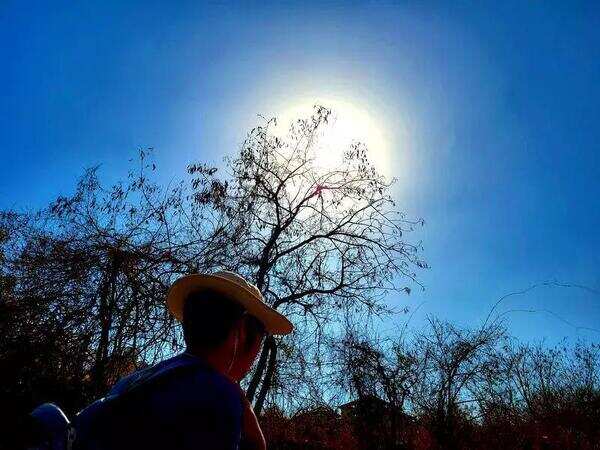 Solan Weather Today, Solan Temperature Hourly and Weekly Forecast ...