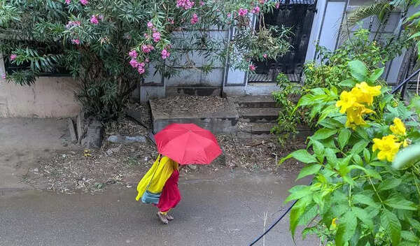 Nagpur Weather Today, Nagpur Temperature Hourly and Weekly Forecast | Times Of India
