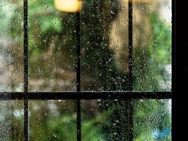 Madikeri Weather Today, Madikeri Temperature Hourly and Weekly Forecast ...