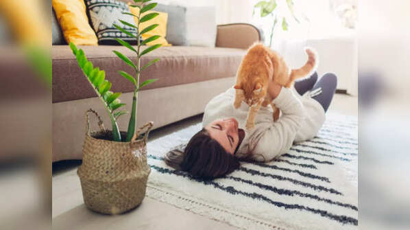 Six reasons why cats make the best pets