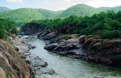 tamil nadu: Despite Tamil Nadu’s opposition, Karnataka pushes for ...