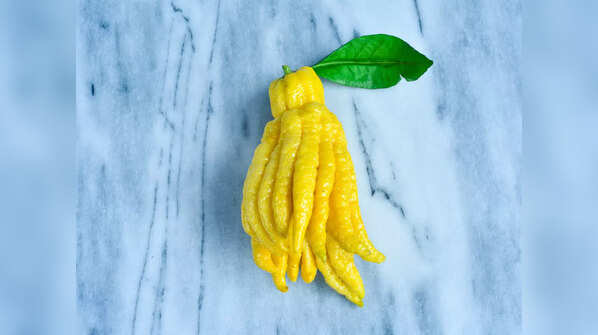 Why Buddha's hand citron is so expensive