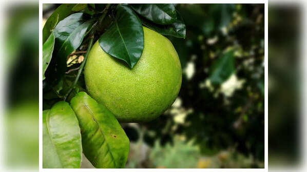 7 Strange and unique fruits and veggies from across the world