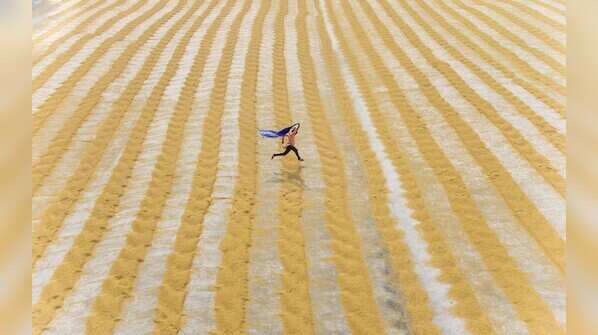 The best of TOI images from West Bengal