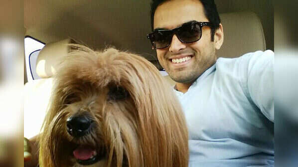 Sai's dog has a Harry Potter connect