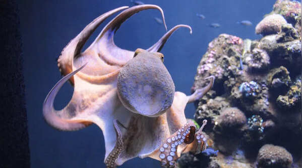 Jennifer callace onlyfans that woman was ready on time at