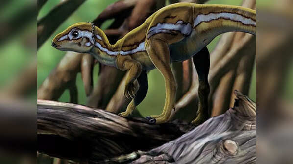 7 smallest dinosaurs that ever lived