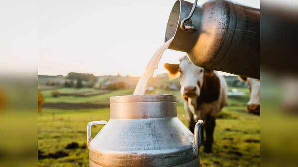 Difference between homogenized and pasteurized milk and which one is safe