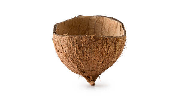 Health Benefits Of Coconut Shell: Here’s why cooking & eating in ...