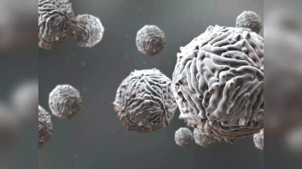 Difference between Zika virus, dengue and chikungunya explained