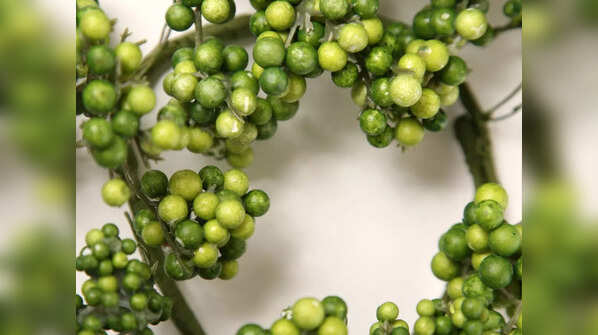 Lasoora: Why these high nutrition desi berries must be consumed in Summer