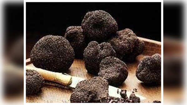 What are Truffle Mushrooms and everything you should know about them