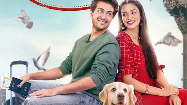 'Hoon Tari Heer' to 'Chabutaro': Gujarati films that were shot abroad