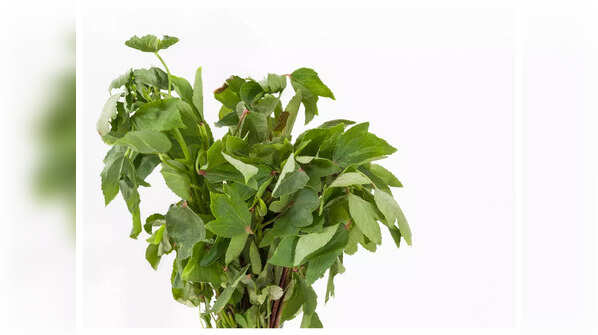 Types Of Indian Saag And Health Benefits: 9 saag varieties from across ...