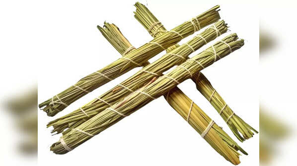 Why Kusha or Durba grass is considered so sacred?