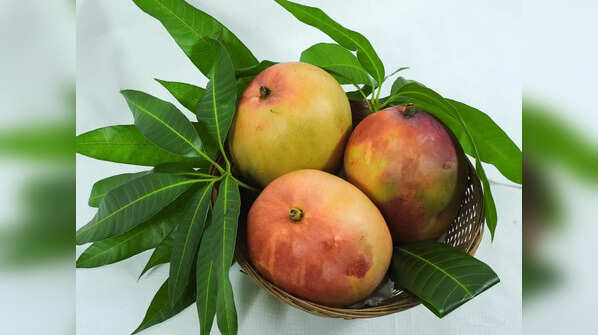 From Gadha to Langra: 15 unique mango varieties enjoyed in India
