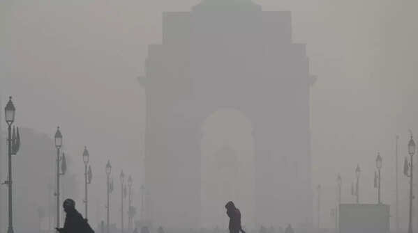 Dense fog, cold wave, pollution: Delhiites' winter struggles. See pics