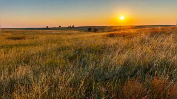 8 largest grasslands in the world