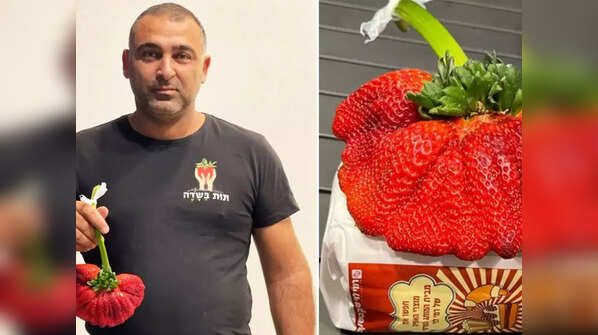 7 biggest foods in the world that hold a Guinness World Record