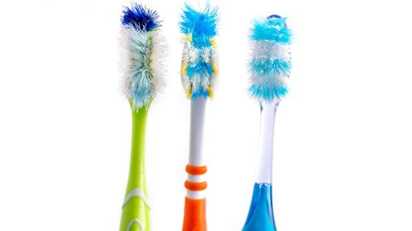 Toothbrush Hygiene: Why you should NEVER leave your toothbrush in the ...