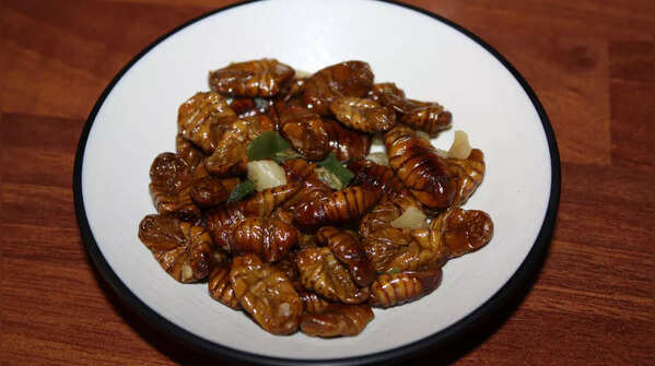Top 7 must-try insect dishes from around the world