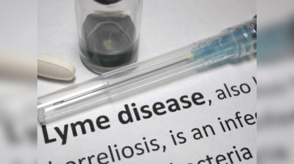 Lyme disease: Serious tick-borne infection that can turn fatal | The ...