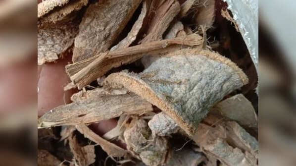 5 rare herbs found in India and their uses