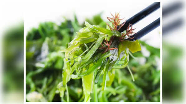 What is Seaweed, benefits & how to use it