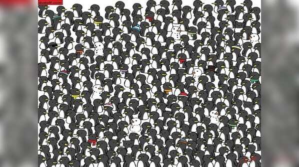 Find the three hidden cats among these penguins