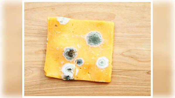 Is it safe to eat moldy cheese?