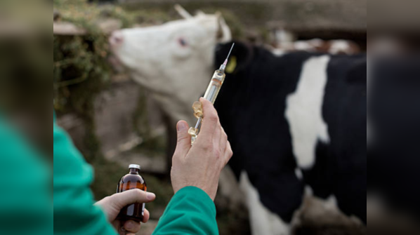 India’s intranasal COVID vaccine, iNCOVACC to be launched on Republic ...