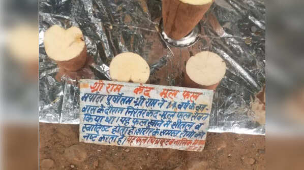 The Kand Mool fruit that Lord Ram ate during exile is a storehouse of ...