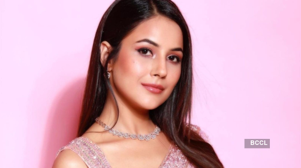 From businessman Vicky Jain’s networth of Rs 130 crore to Tejasswi Prakash’s luxurious flat in ...