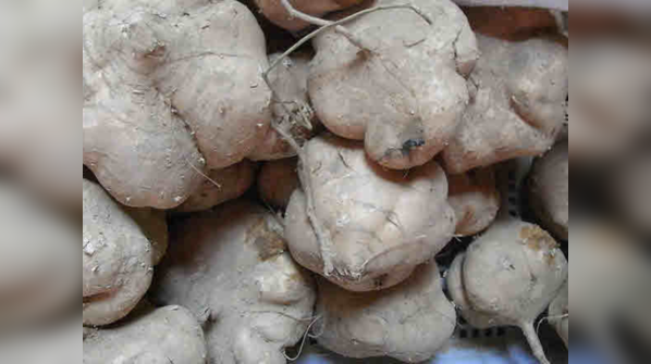 5 Ayurvedic herbs to improve men's power and vitality