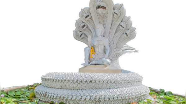 Enter the serpent realm: Meet the 8 nagas of myth and mystery