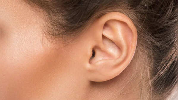 How fish gills may have turned into human ears