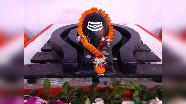 The Shivling of Kashi, Tilbhandeshwar is still growing!