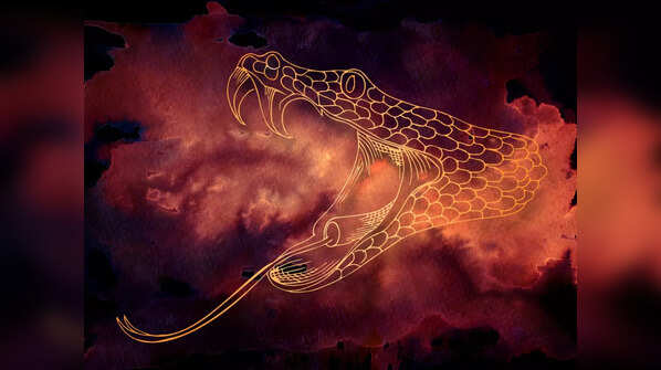 Have you been dreaming about snakes? Here's what those dreams mean