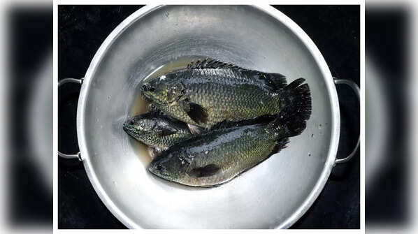 Is your restaurant secretly serving you Garbage fish?