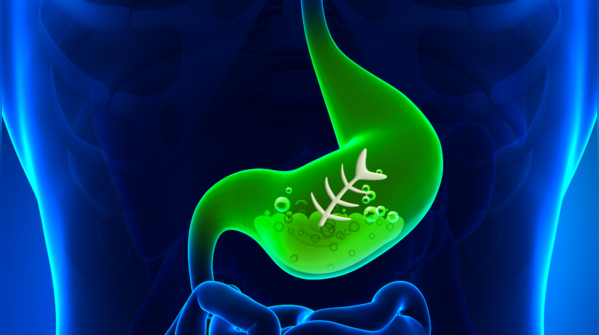 5 reasons why your child is complaining of stomach aches all the time