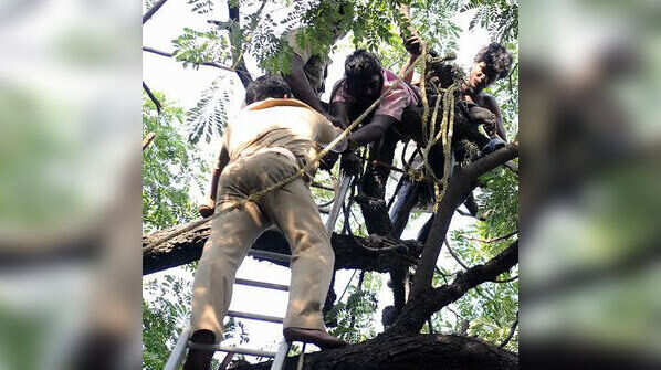 Chennai man climbs tree after fight with wife, threatens to commit suicide in full public view